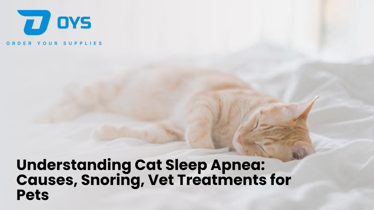 Understanding Cat Sleep Apnea: Symptoms, Causes & Vet Advice – Order ...